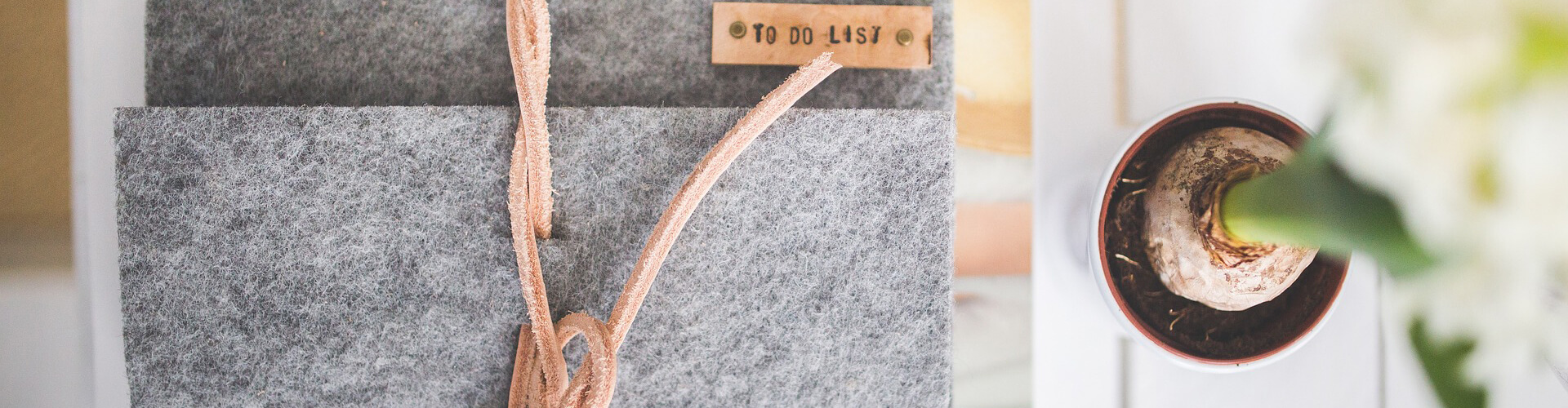 NEWS | 合同会社nilva